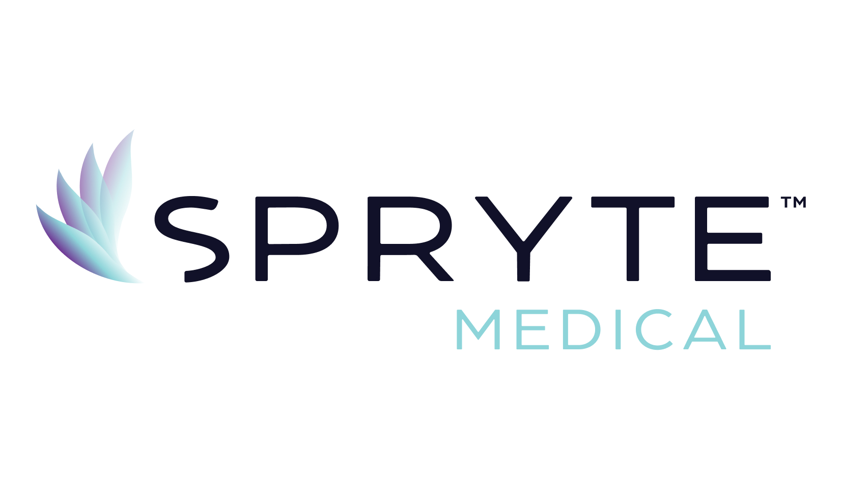 Spryte Medical | Advancing Cerebrovascular Care